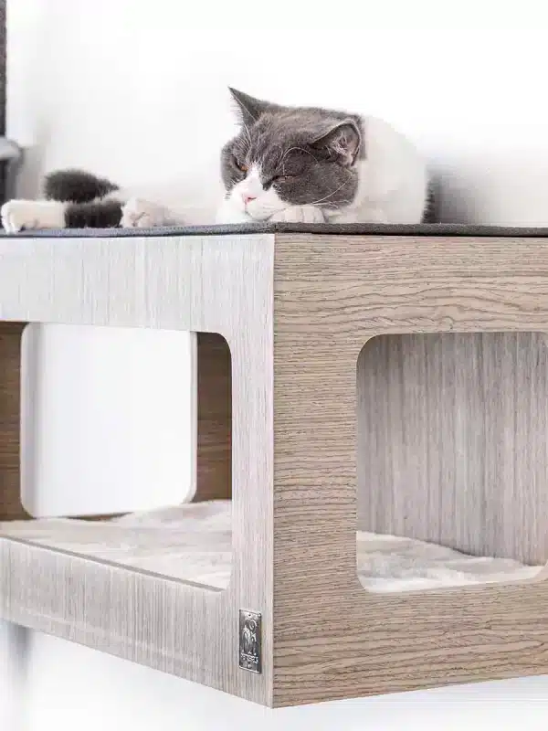 Boîte murale pour chat - Arboricat